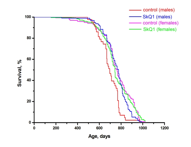 Effects of the mitochondria-targeted antioxidant SkQ1 on lifespan of ...