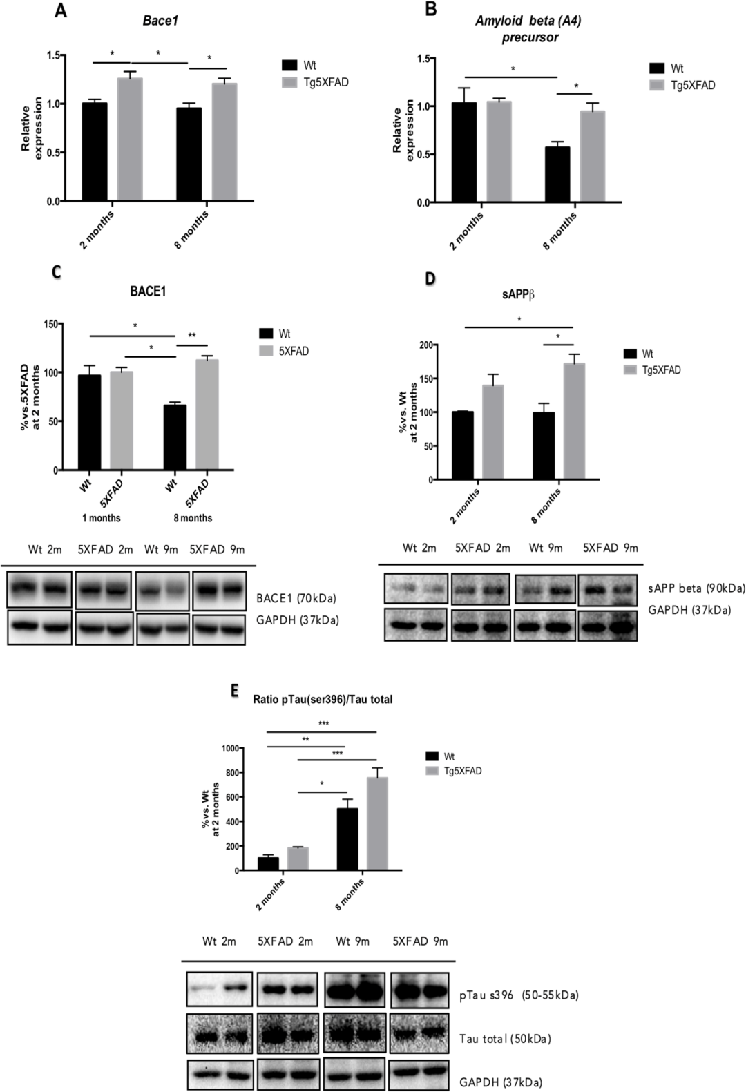 Epigenetic mechanisms underlying cognitive impairment and Alzheimer disease hallmarks in 5XFAD ...