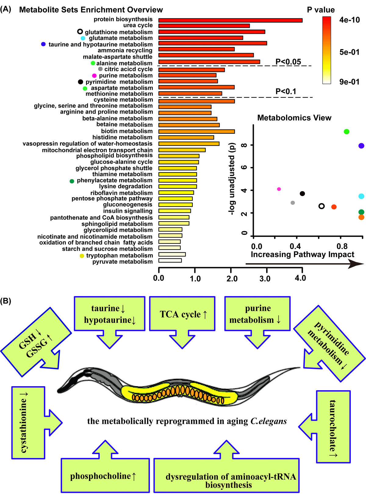 Metabolomic signature associated with reproduction-regulated aging in ...