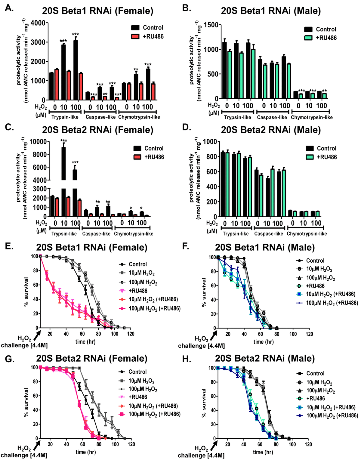 The Age And Sex Specific Decline Of The 20s Proteasome And The Nrf2