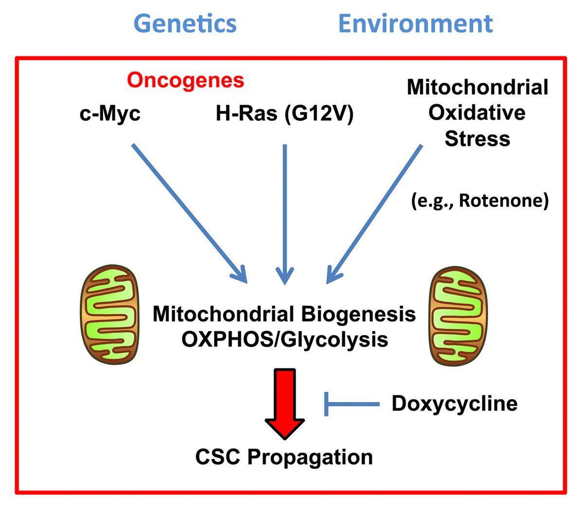 A new mutation-independent approach to cancer therapy: Inhibiting ...