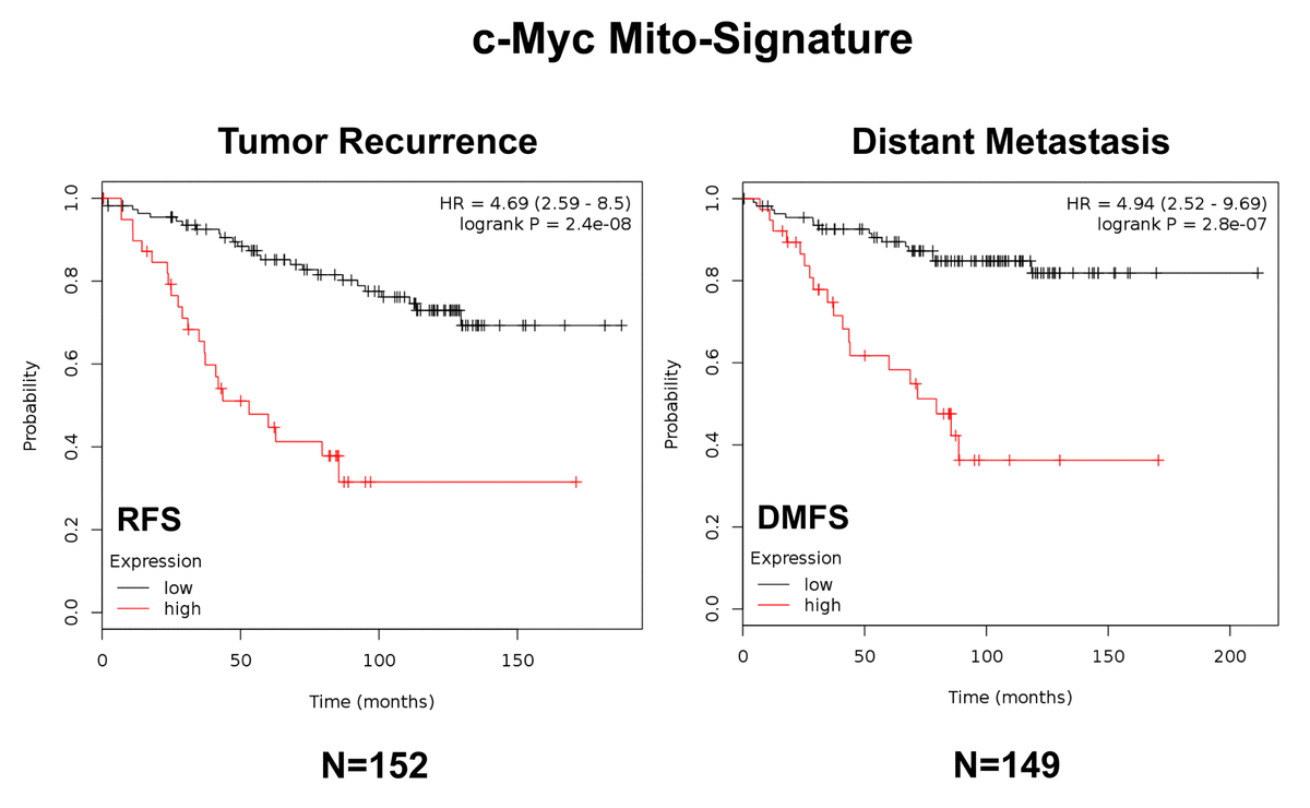 A new mutation-independent approach to cancer therapy: Inhibiting ...
