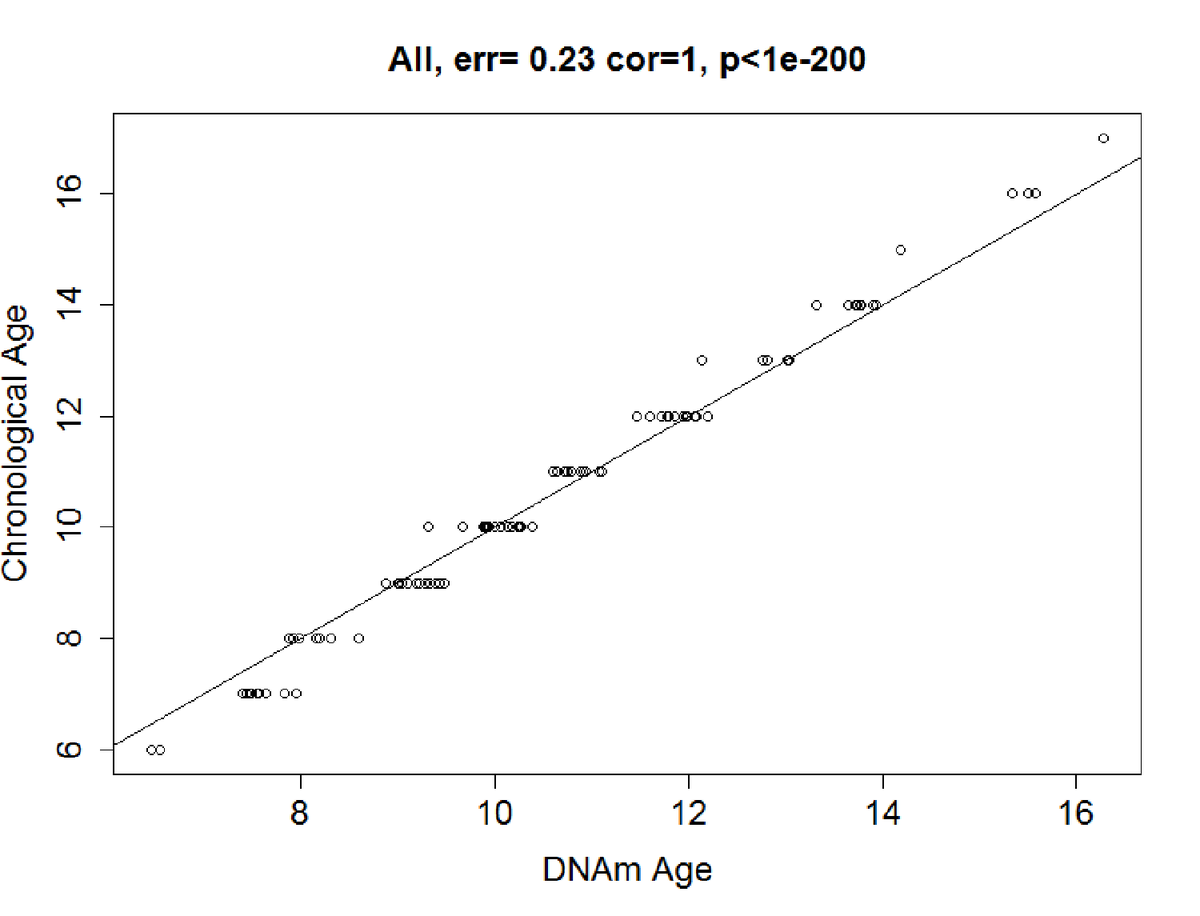 Age prediction of children and adolescents aged 6-17 years: an ...