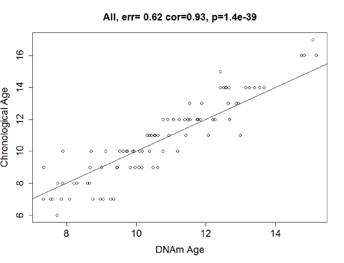 Age prediction of children and adolescents aged 6-17 years: an ...