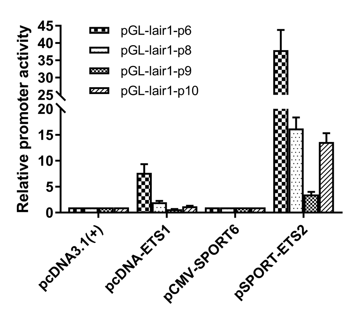 Five ETS family members, ELF-1, ETV-4, ETV-3L, ETS-1, and ETS-2 ...
