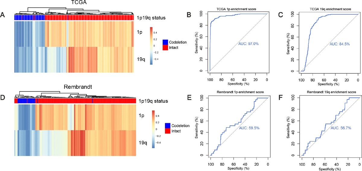 Predicting chromosome 1p/19q codeletion by RNA expression profile: a comparison of current ...