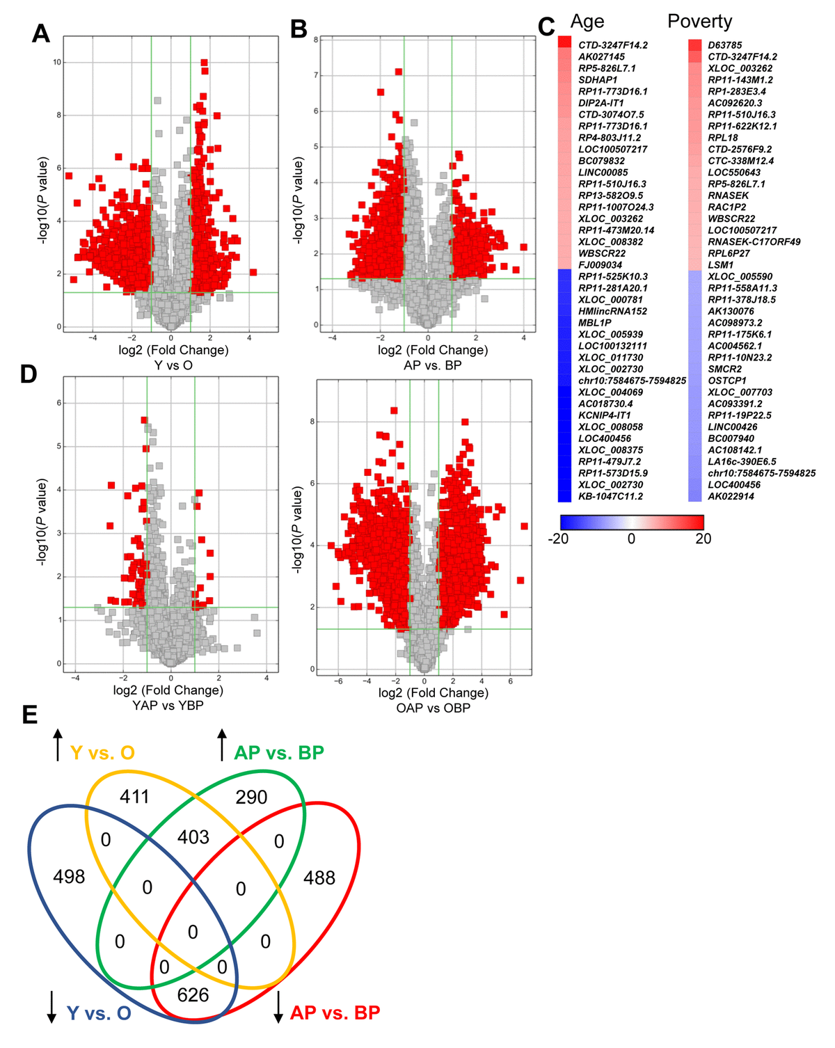 Age and poverty status alter the coding and noncoding transcriptome - Figure f1 | Aging