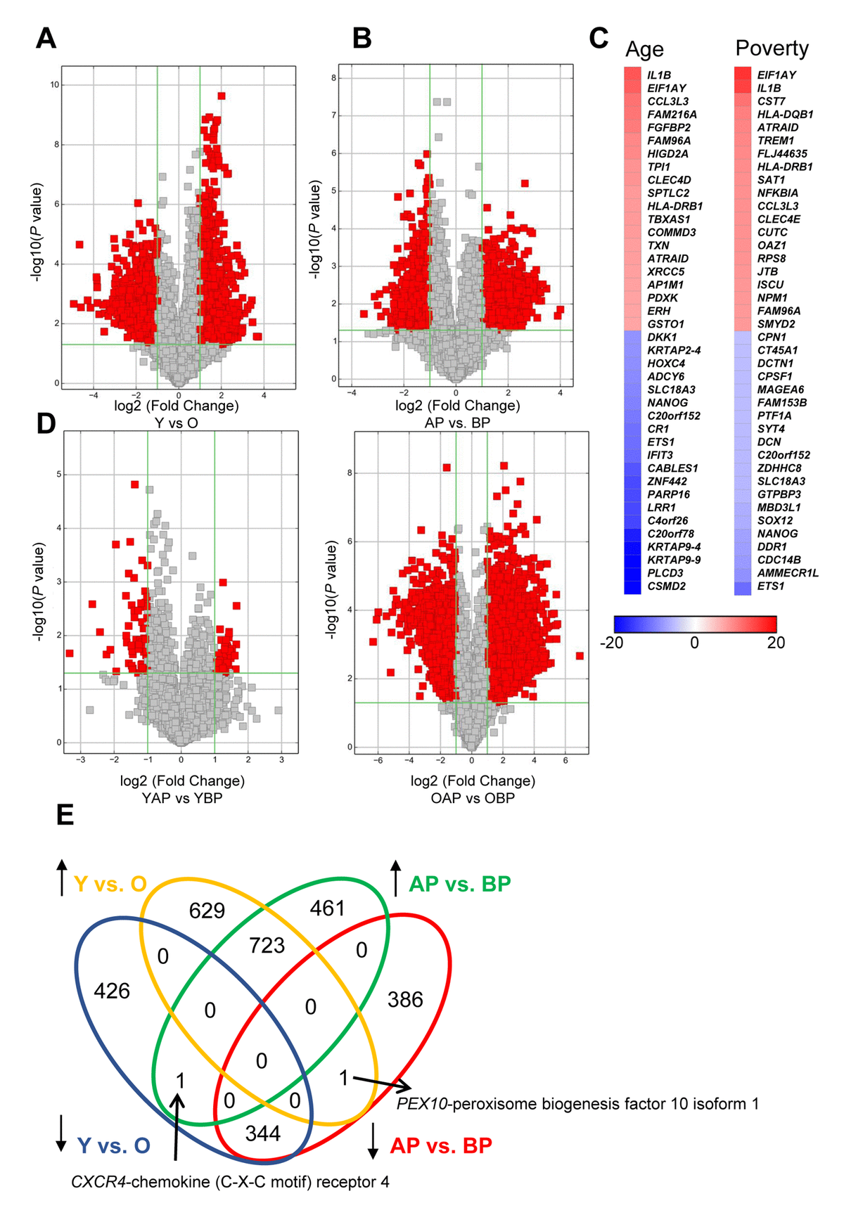 Age and poverty status alter the coding and noncoding transcriptome - Figure f4 | Aging