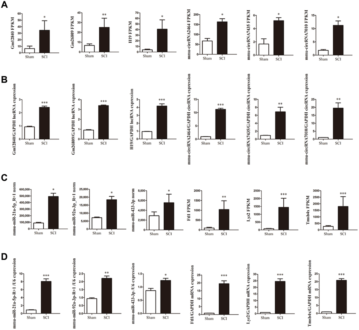 Identification of noncoding RNA expression profiles and regulatory interaction networks ...