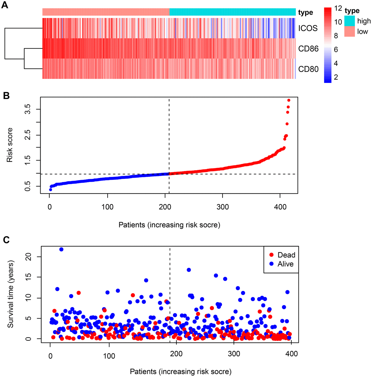 B7-CD28 gene family expression is associated with prognostic and ...