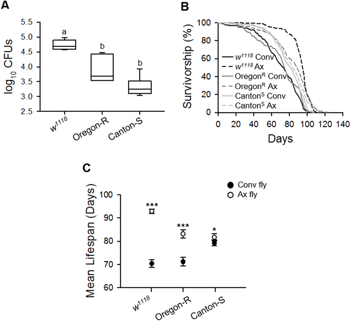The role of commensal microbes in the lifespan of Drosophila ...