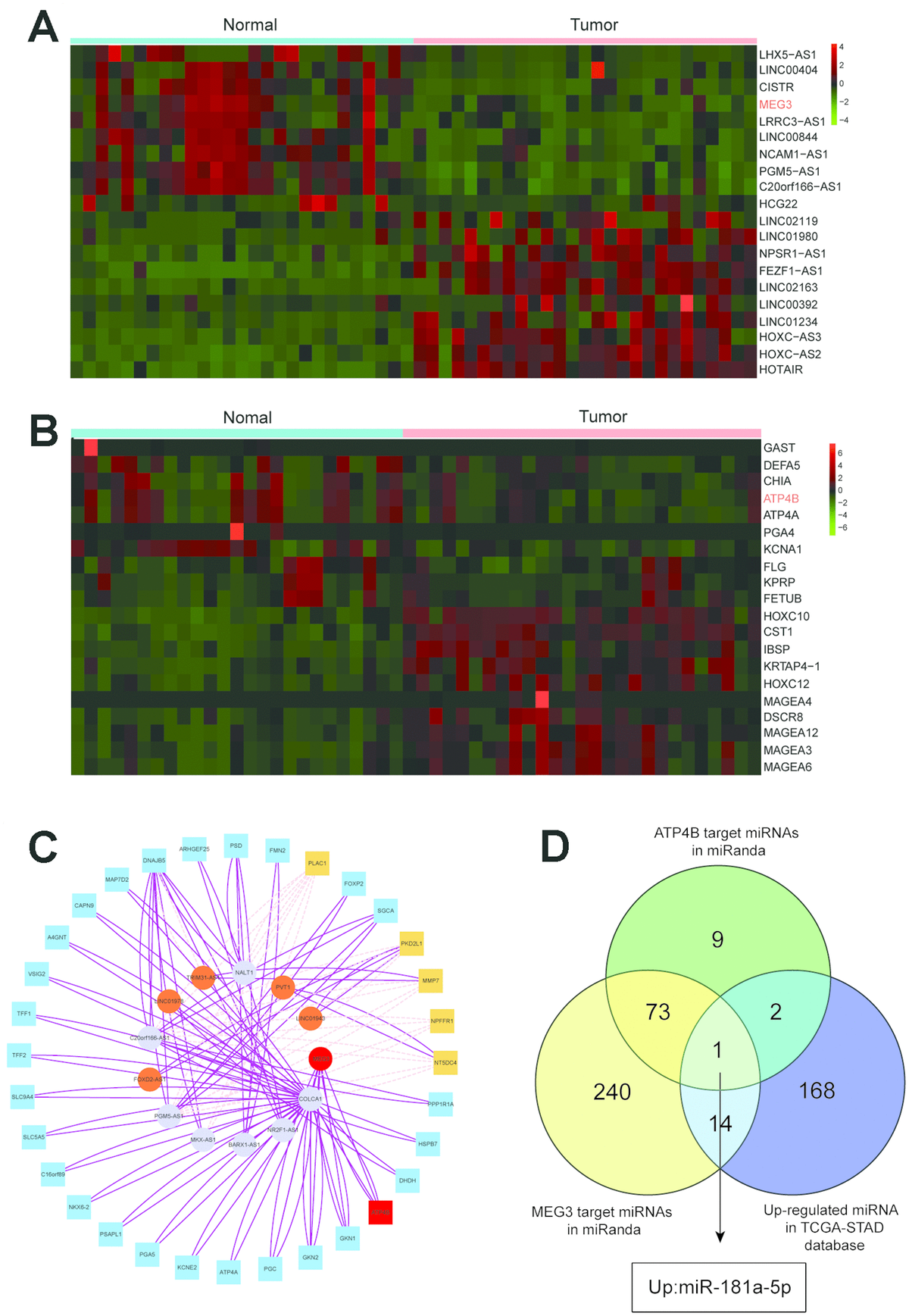 Hypermethylated long noncoding RNA MEG3 promotes the progression of ...