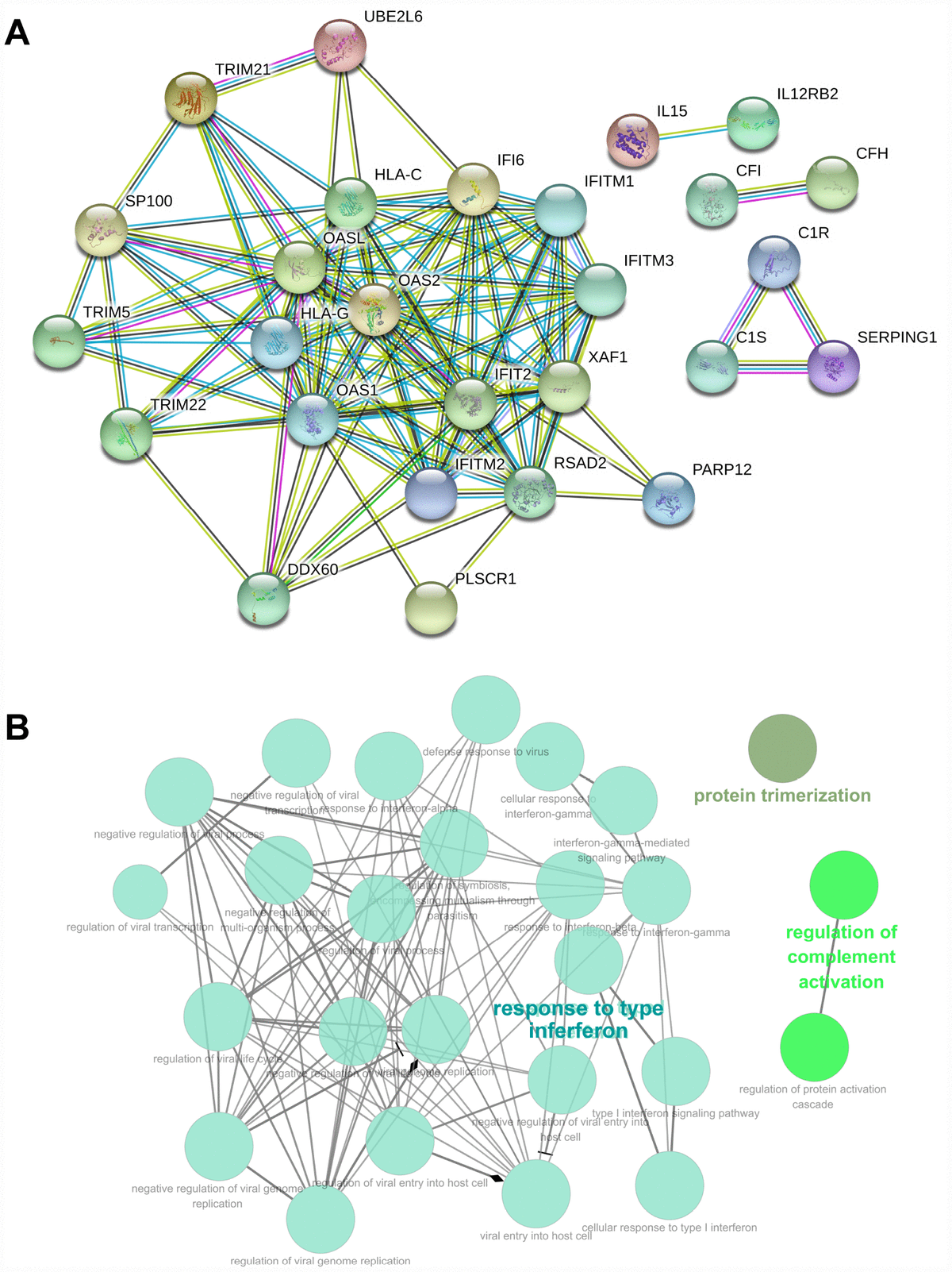 Characterization of long non-coding RNA and messenger RNA profiles in ...