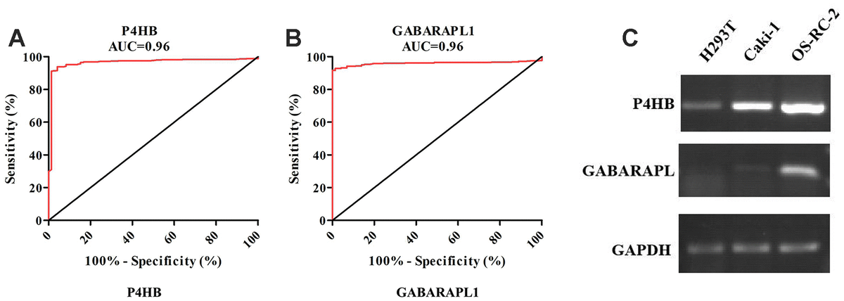 Autophagy-related gene P4HB: a novel diagnosis and prognosis marker for ...