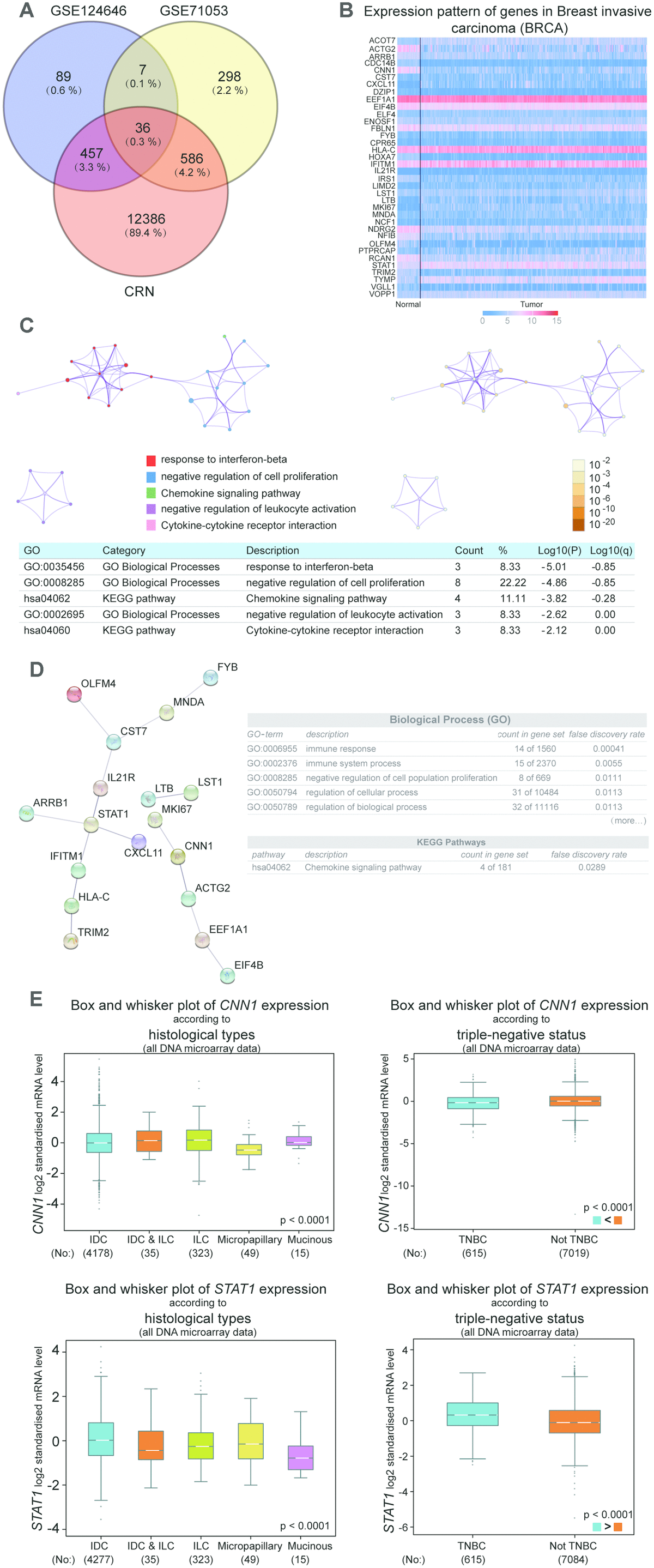miR-106b-5p contributes to the lung metastasis of breast cancer via ...