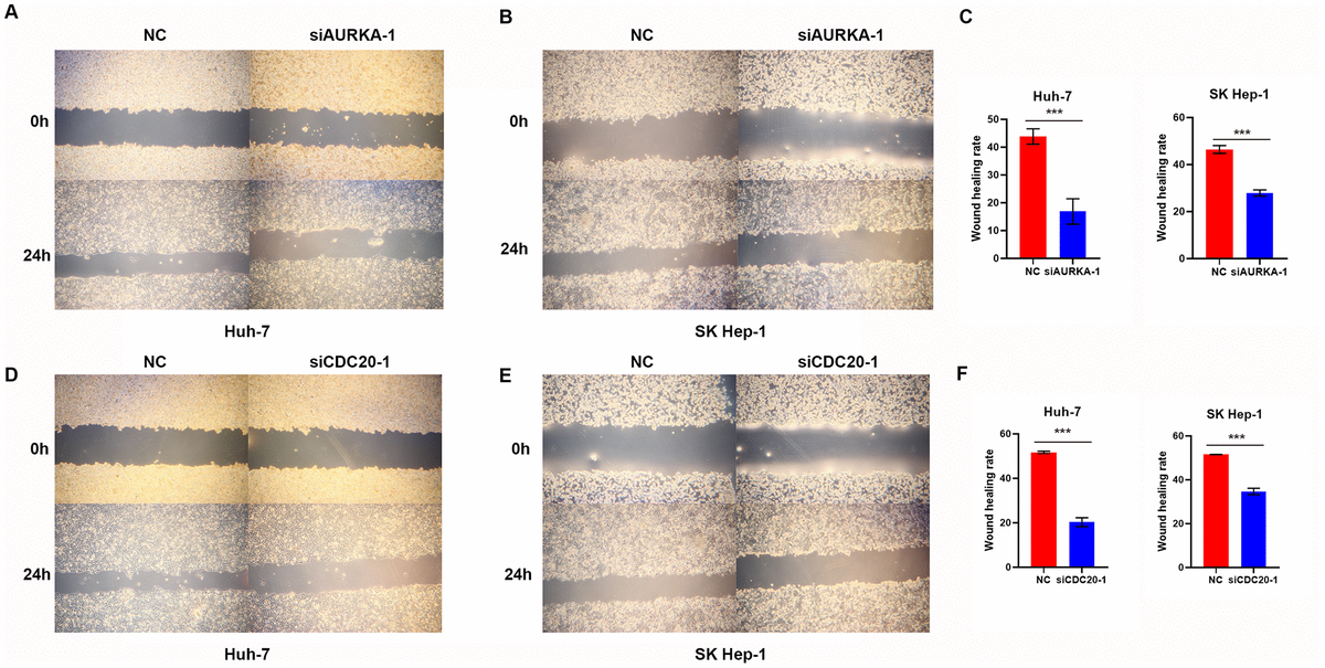 WITHDRAWN: Identification of abnormally expressed genes and their roles ...