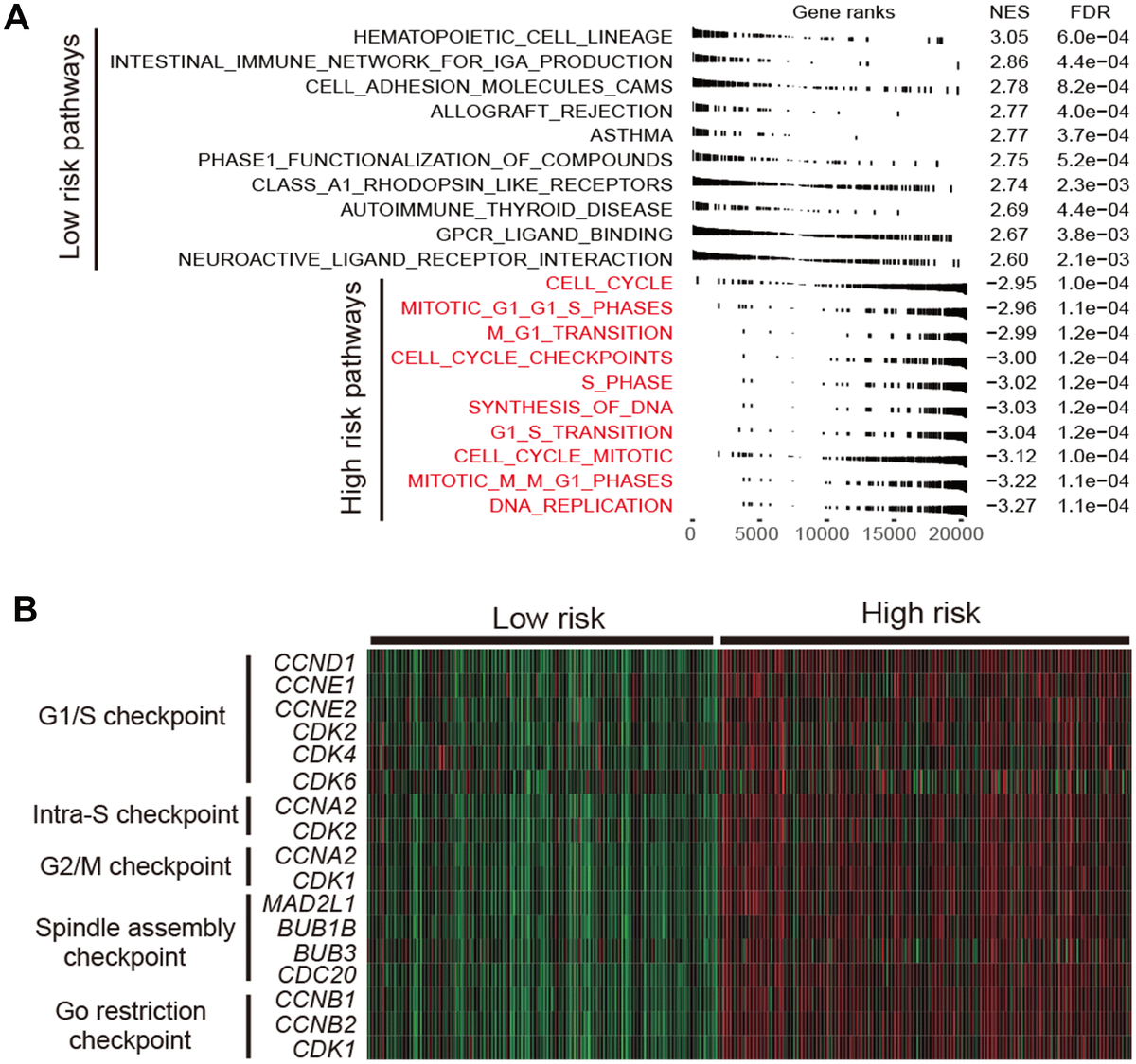 Analysis of immune-related signatures of lung adenocarcinoma identified ...