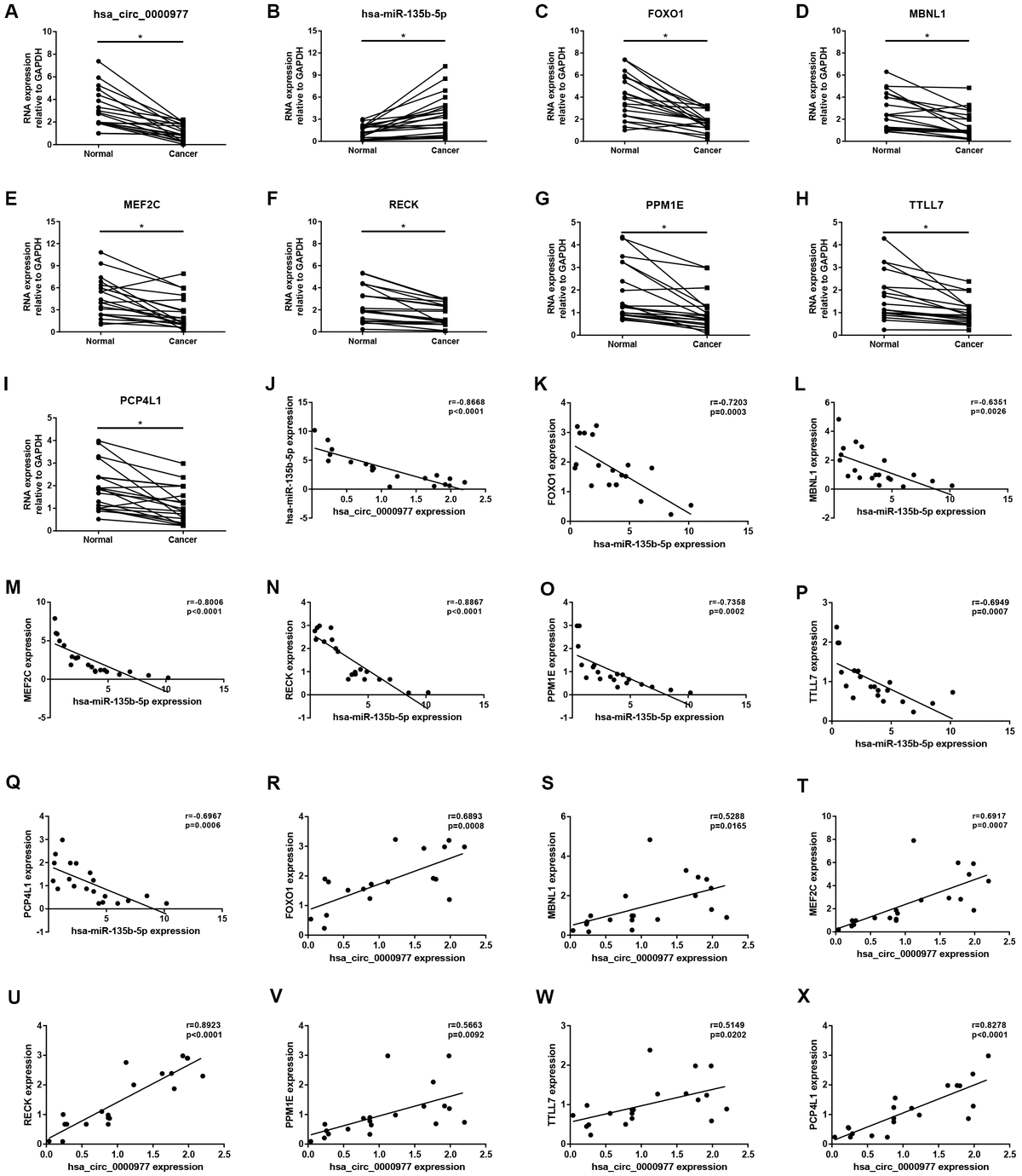 Whole Transcriptome Analysis Reveals A Potential Hsa Circ 0001955 Hsa
