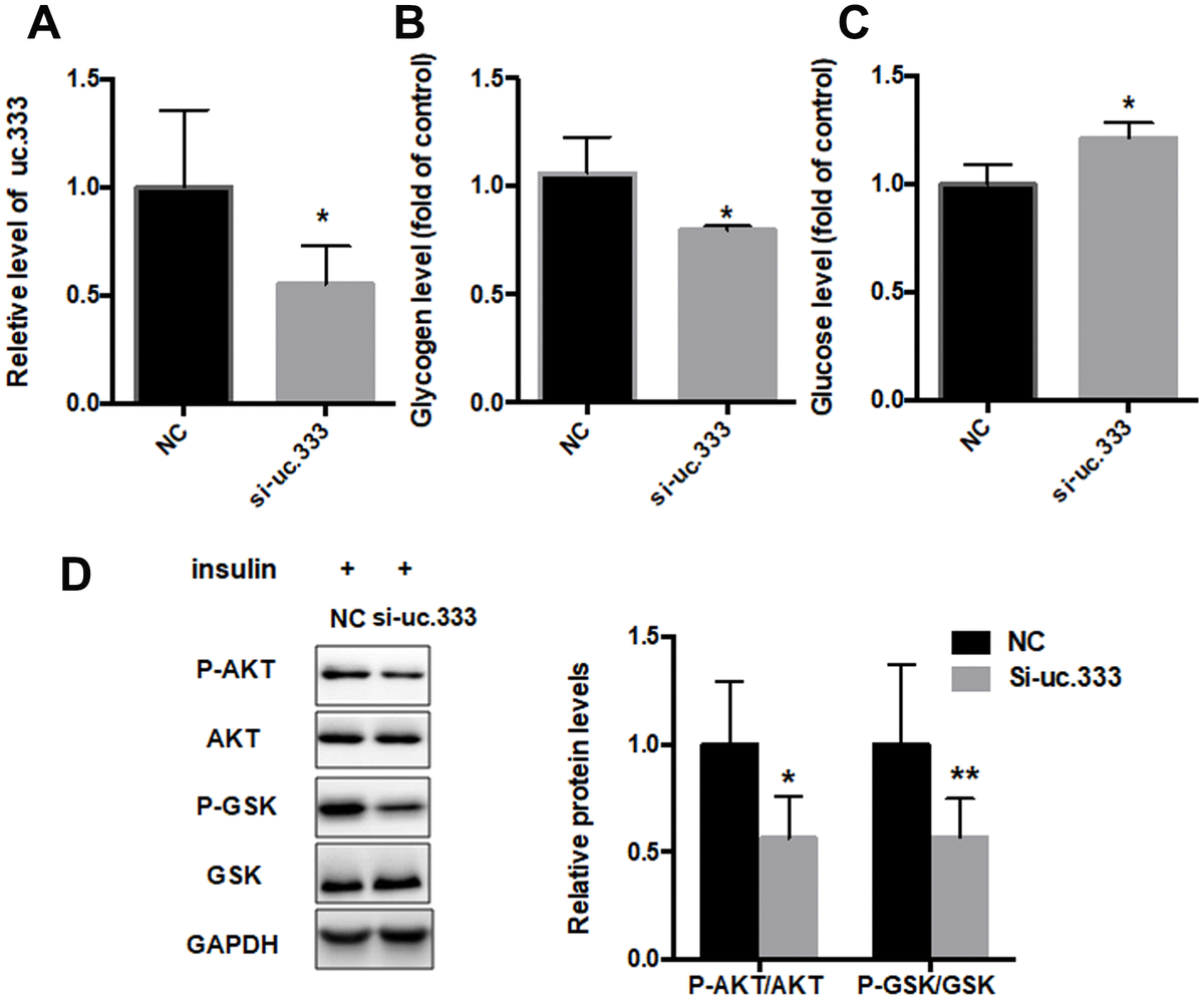 Ultraconserved element uc.333 increases insulin sensitivity by binding to miR-223 - Figure f4 ...