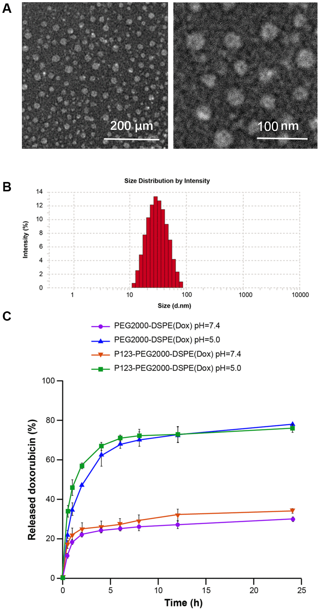 Pluronic P123 modified nano micelles loaded with doxorubicin enhanced ...