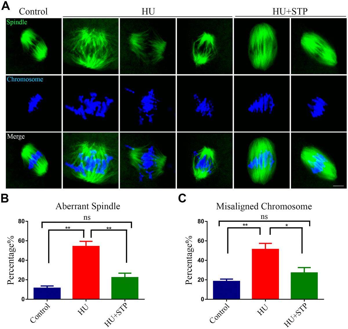Shoutai pills improve the quality of oocytes exposed to the ...