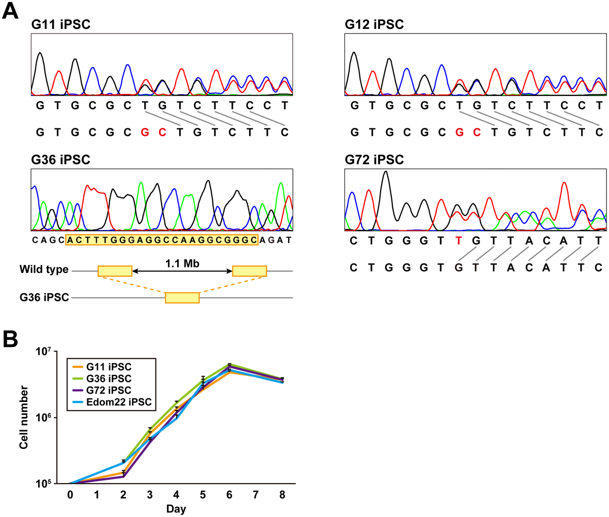 Gorlin syndrome-induced pluripotent stem cells form medulloblastoma ...