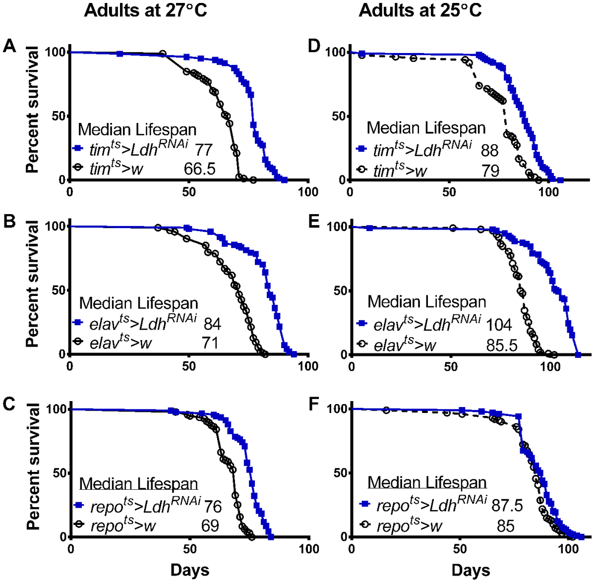Lactate dehydrogenase expression modulates longevity and ...