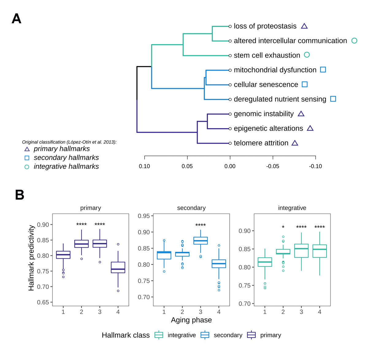 Multi-omics network analysis reveals distinct stages in the human aging ...