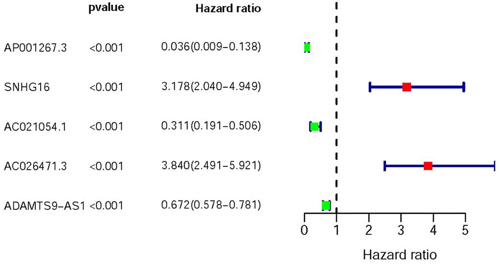 Bioinformatics profiling integrating a four immune-related long non-coding RNAs signature as a ...