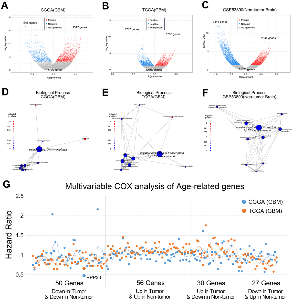 RPP30, a transcriptional regulator, is a potential pathogenic factor in ... RPP30, a transcriptional regulator, is a potential pathogenic factor in ...