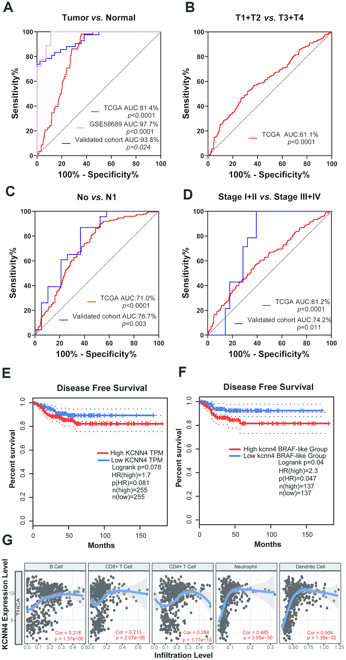 KCNN4 is a diagnostic and prognostic biomarker that promotes papillary ...