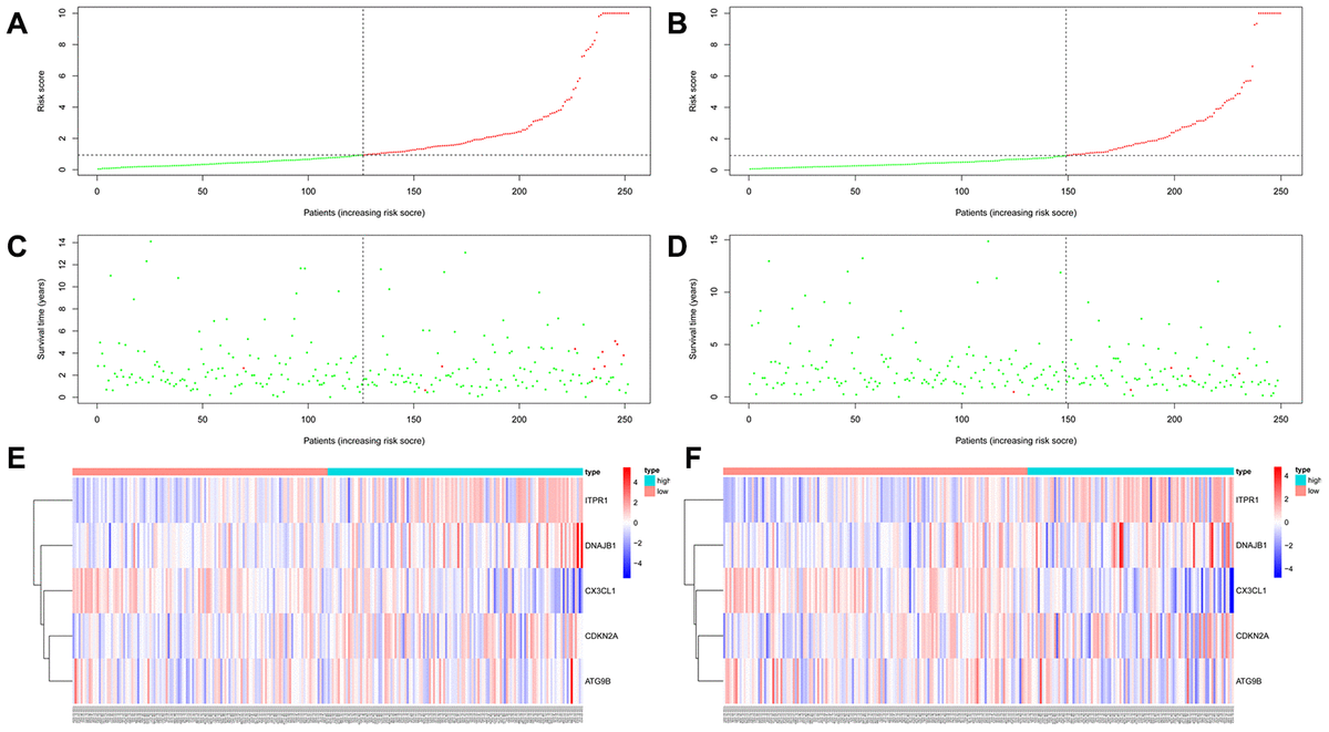 Development and validation of a survival model for thyroid carcinoma based on autophagy ...
