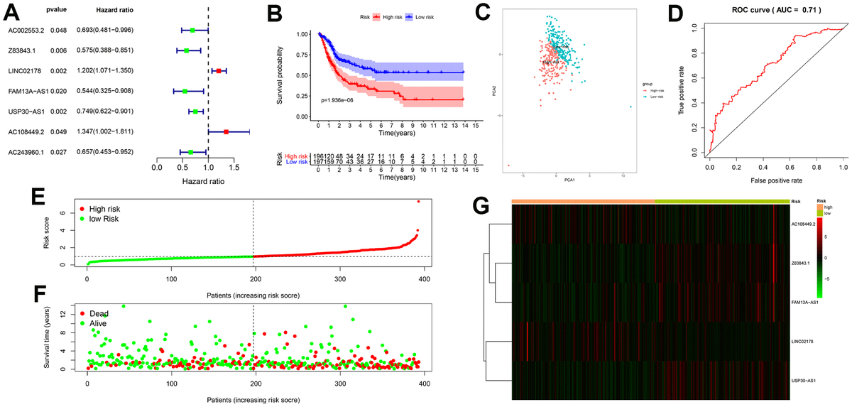 An autophagy-related long non-coding RNA prognostic signature accurately predicts survival ...