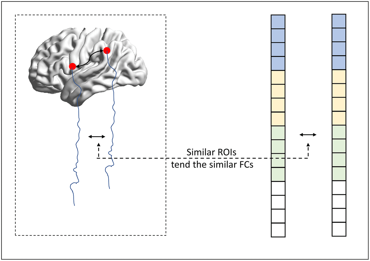 Functional connectivity network estimation with an inter-similarity prior for mild cognitive ...