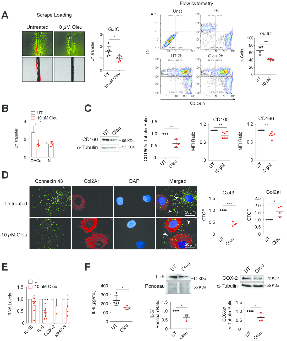 Senolytic activity of small molecular polyphenols from olive restores ...