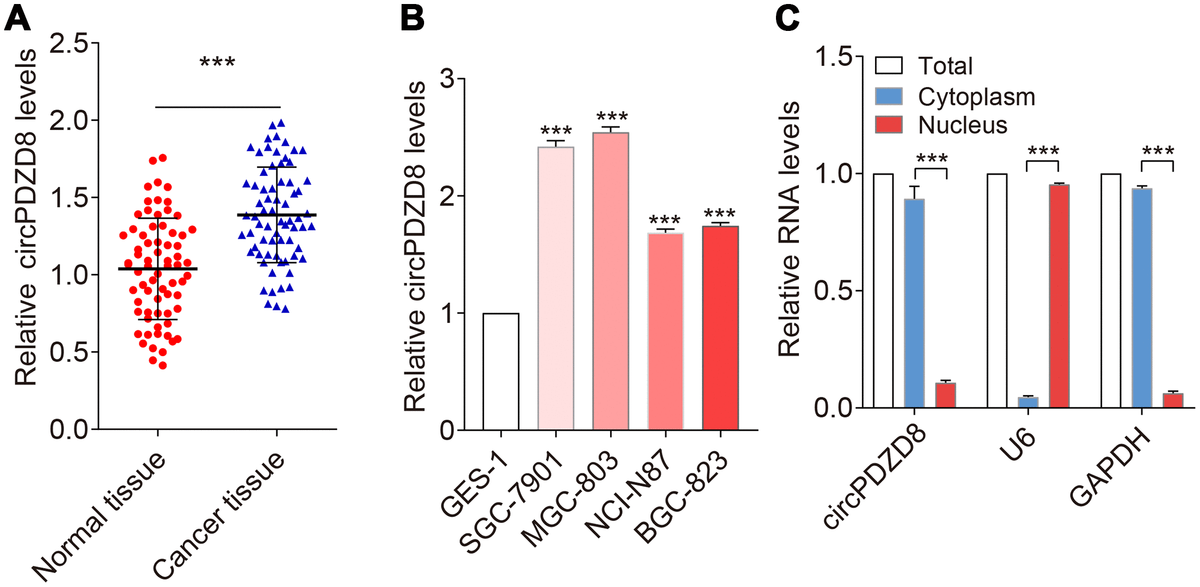CircPDZD8 promotes gastric cancer progression by regulating CHD9 via ...