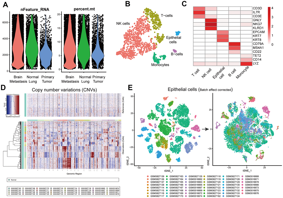 Single-cell transcriptome analysis demonstrates inter-patient and intra ...