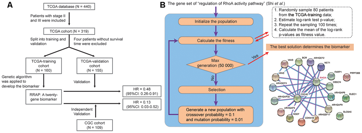 Identification of “regulation of RhoA activity panel” as a prognostic ...