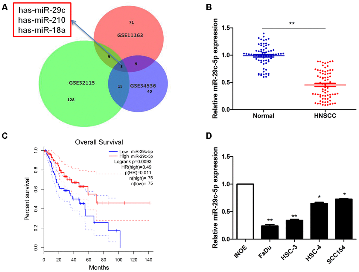 The microRNA miR-29c-5p inhibits cell proliferation and migration by ...