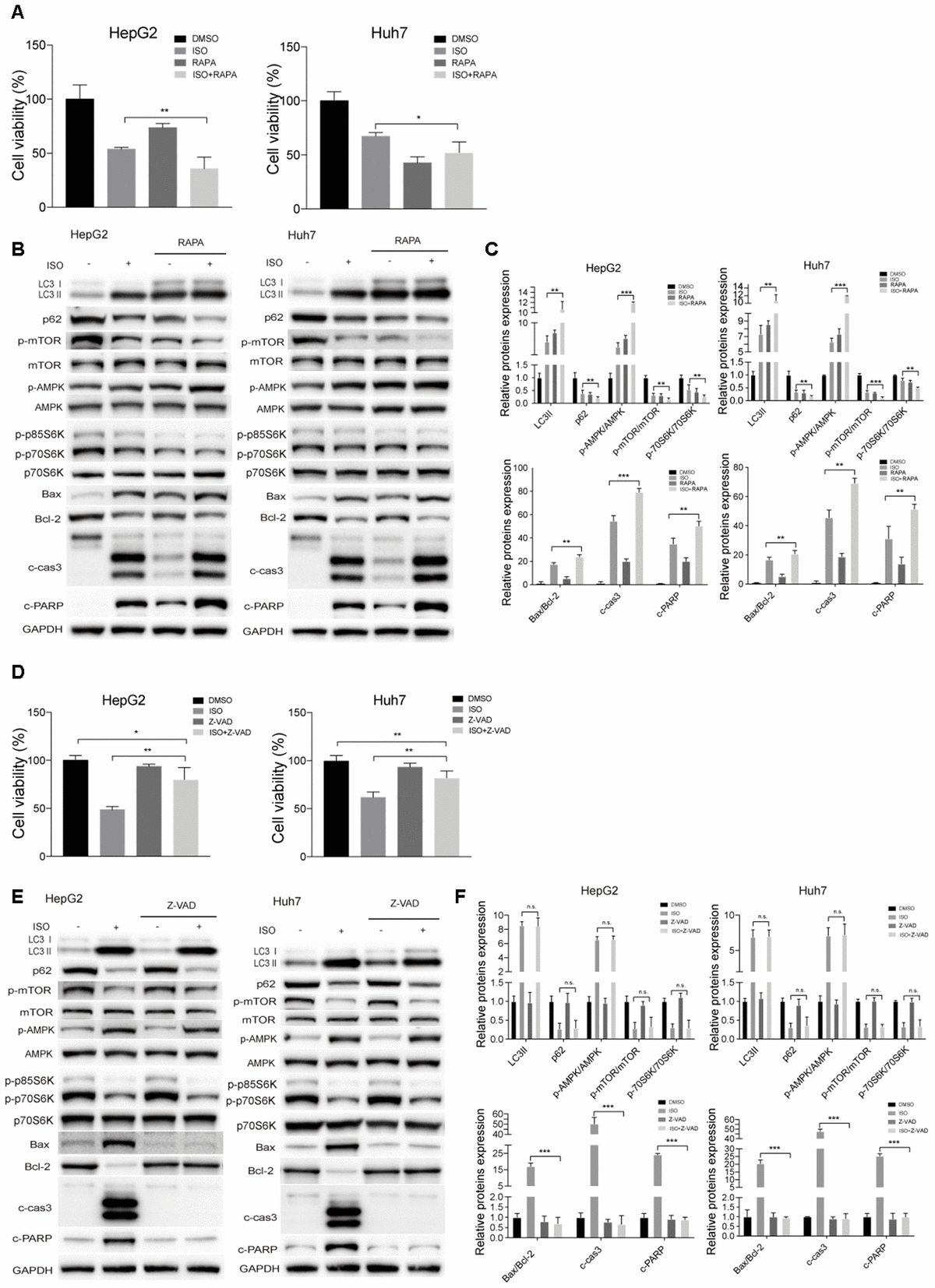 Isoquercitrin induces apoptosis and autophagy in hepatocellular carcinoma cells via AMPK/mTOR ...