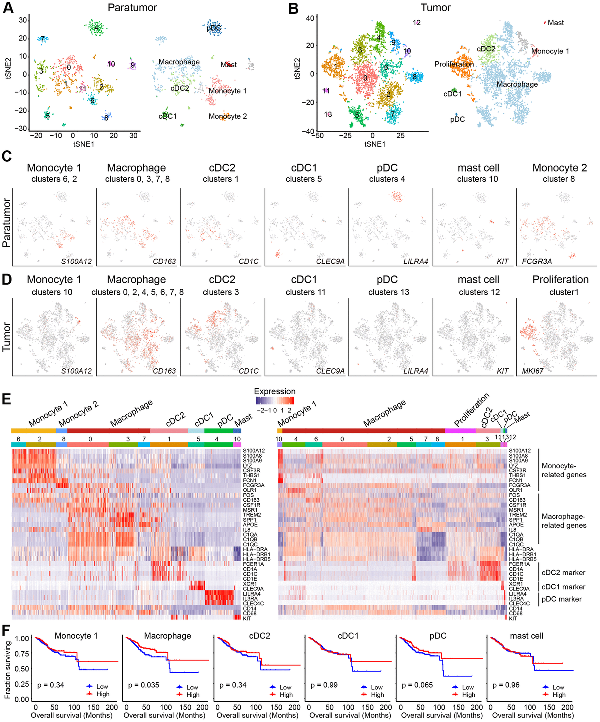 Phenotyping of immune and endometrial epithelial cells in endometrial ...