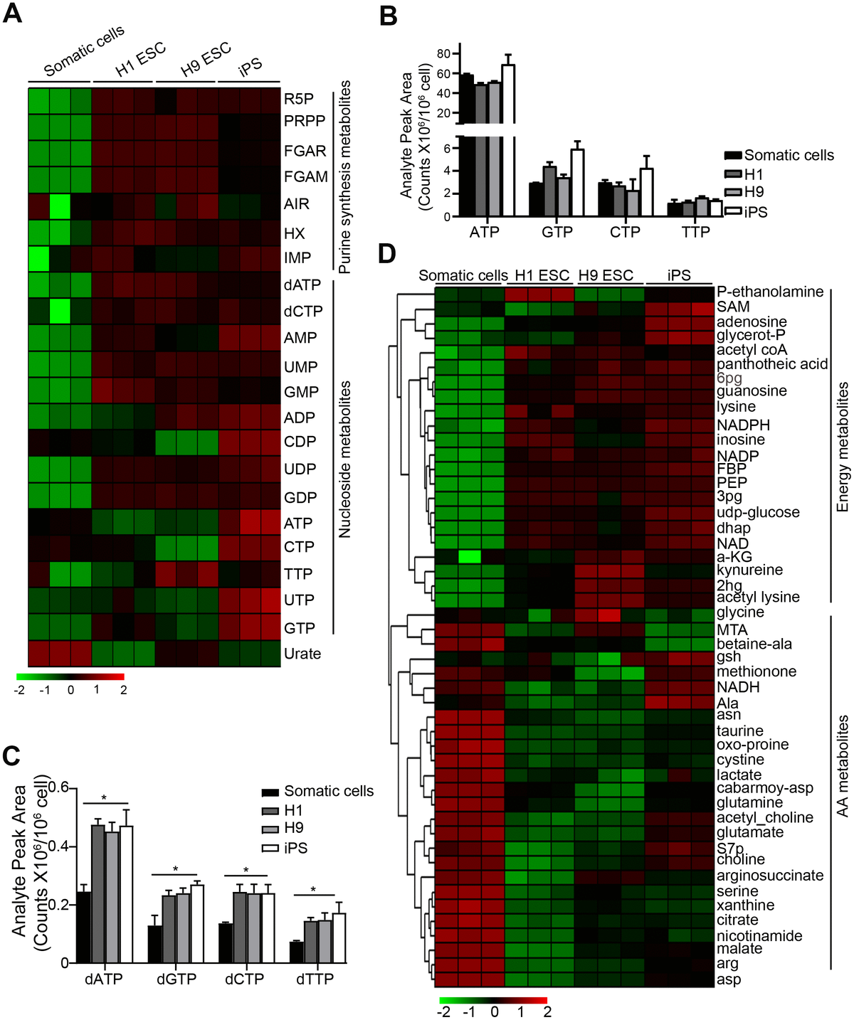 PRPS1-mediated purine biosynthesis is critical for pluripotent stem ...