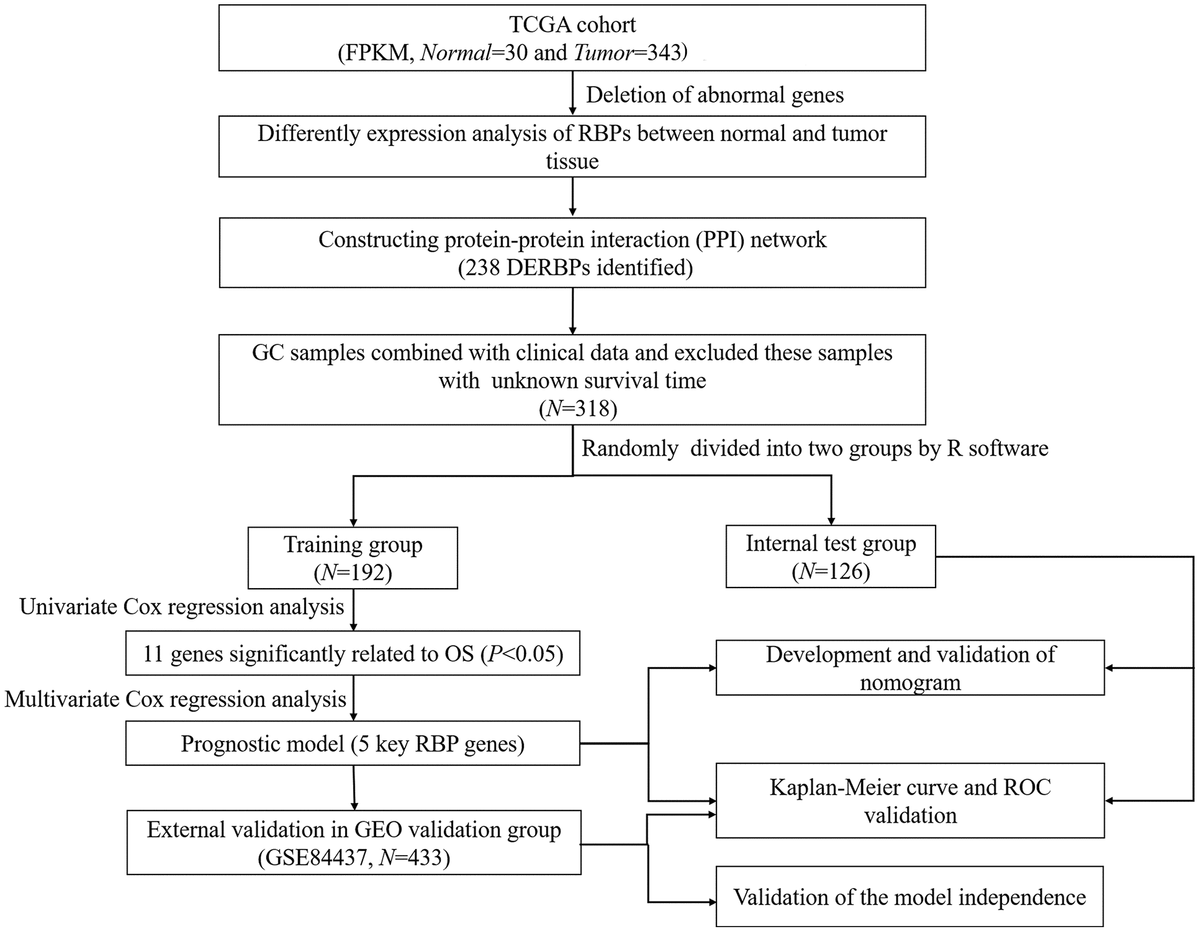 Development And Validation Of Rna Binding Protein Applied Prediction