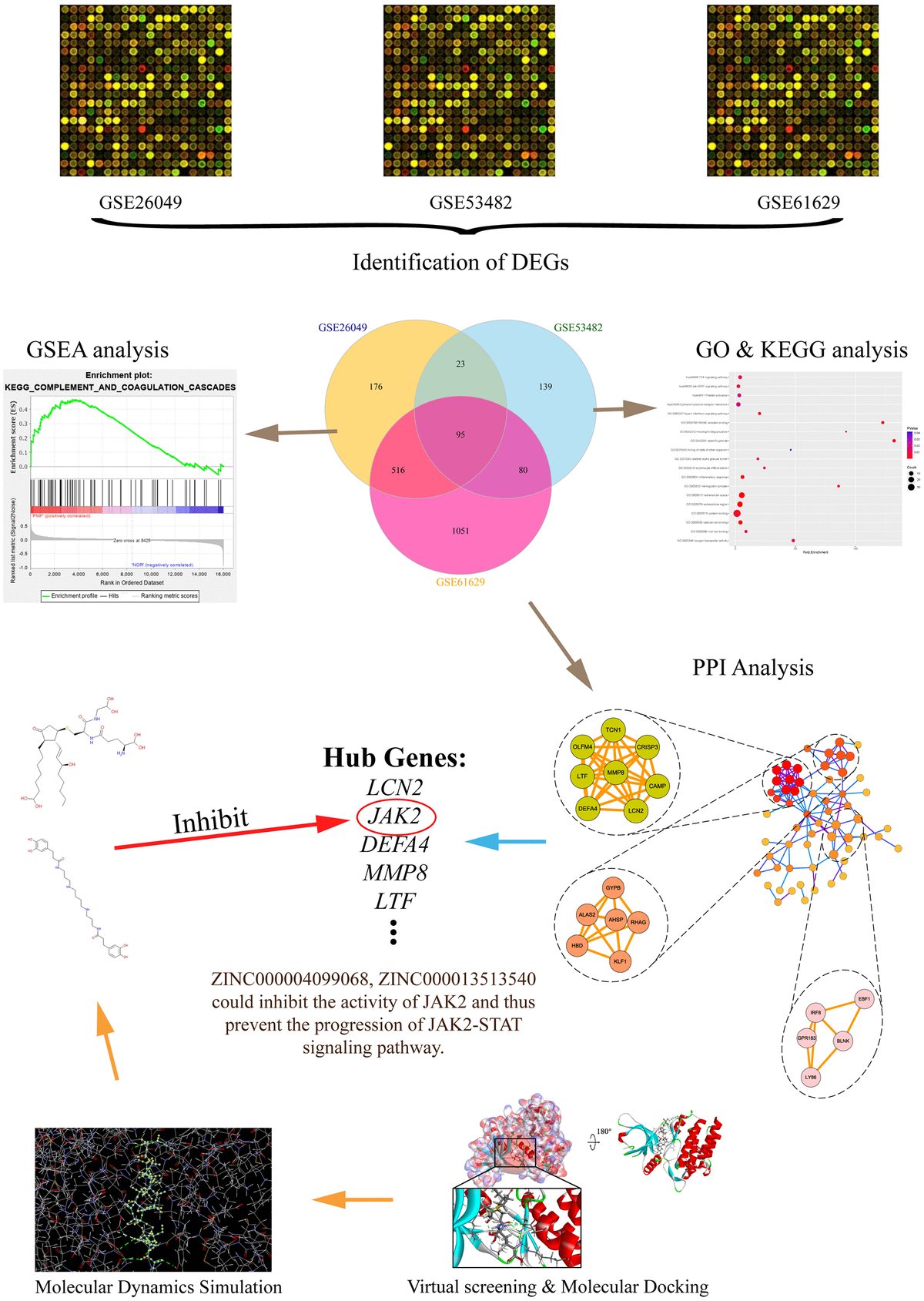 Transcriptome profiling reveals target in primary myelofibrosis ...