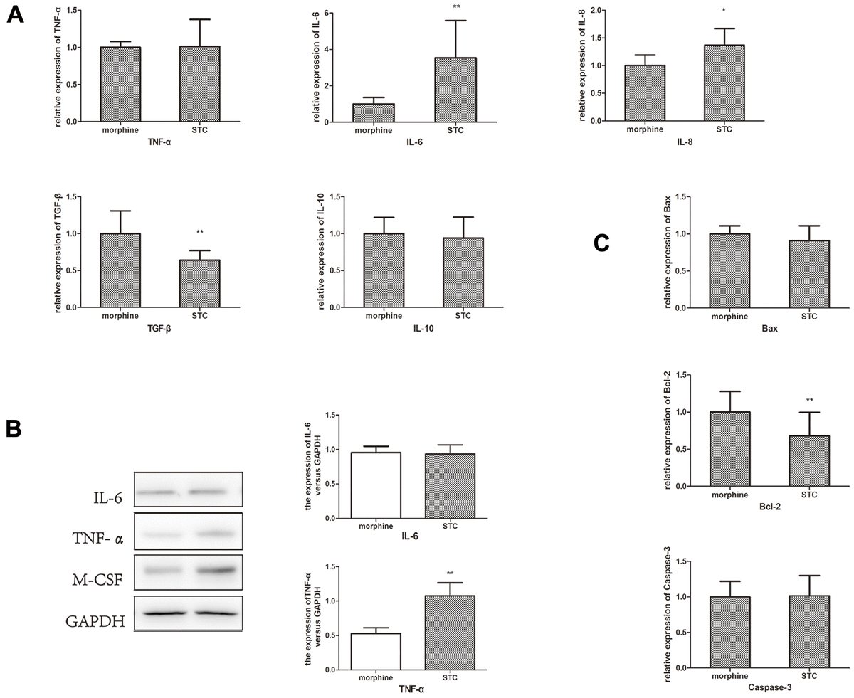 miR-128 participates in the pathogenesis of slow transit constipation ...