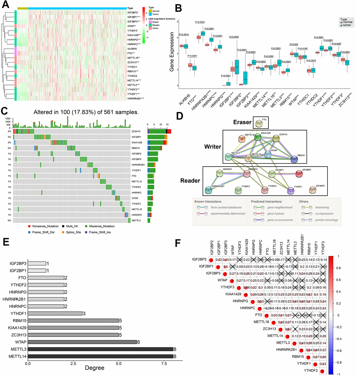 A five-m6A regulatory gene signature is a prognostic biomarker in lung ... A five-m6A regulatory gene signature is a prognostic biomarker in lung ...