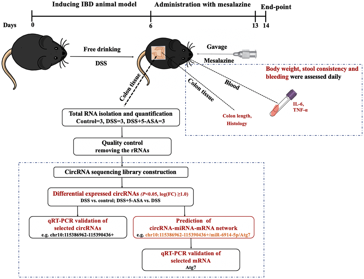 circRNA expression profiling of colon tissue from mesalazine-treated ...