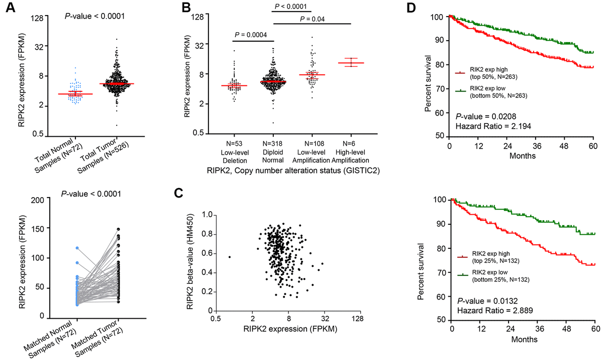 RIPK2 is an unfavorable prognosis marker and a potential therapeutic target in human kidney ...