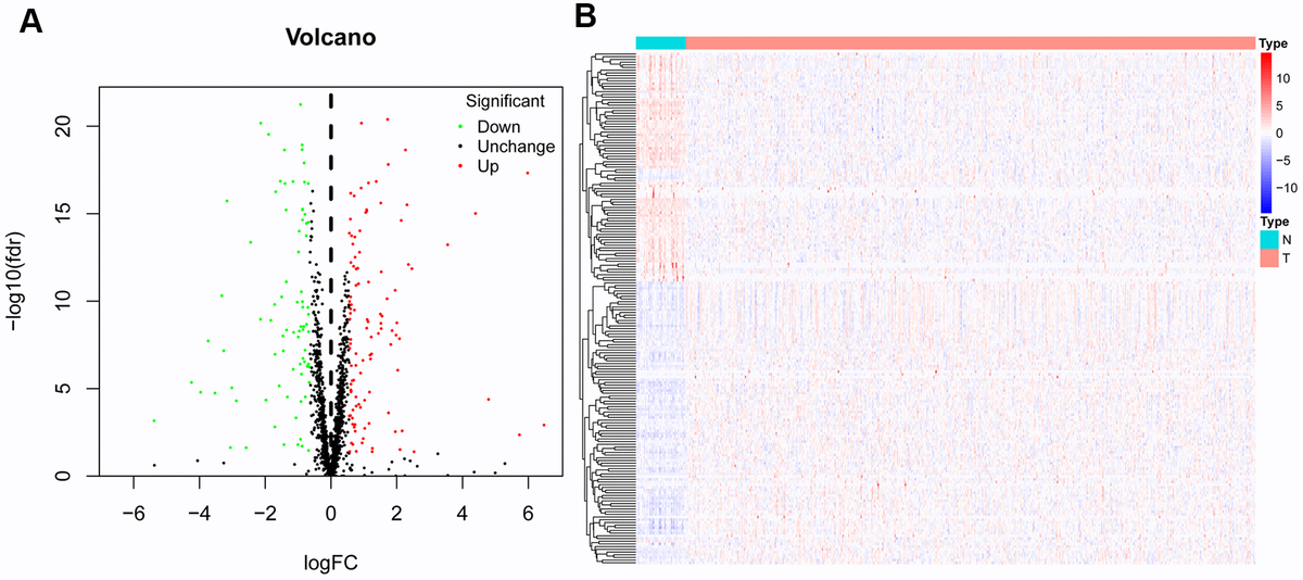 Development And Validation Of A Rna Binding Protein Associated