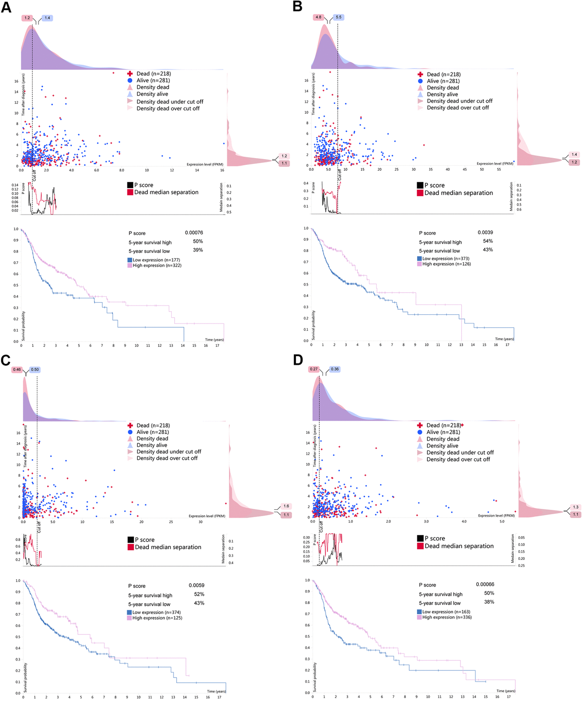 Development And Validation Of A Rna Binding Protein Associated